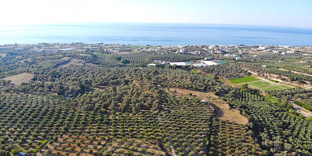 Car.gr - Οικόπεδο 14.800 τ.μ. για πώληση, Ν. Ρεθύμνου, Αρκάδι