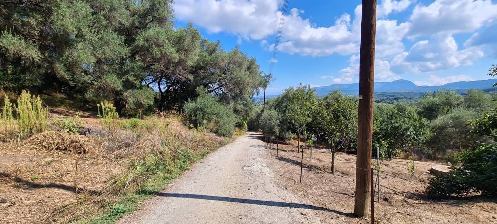 Οικόπεδο 550 τ.μ. για πώληση, Ν. Κέρκυρας, Κέρκυρα | plot.gr