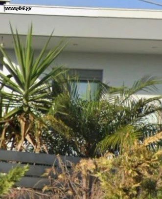 Μονοκατοικία 270 τ.μ. για πώληση, Αττική - Υπόλοιπο, Σαρωνίδα | plot.gr