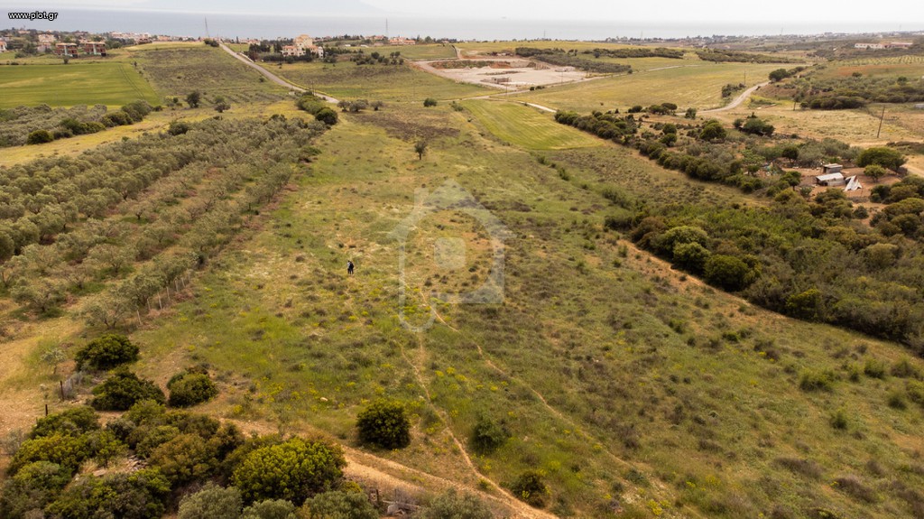 Αγροτεμάχια 10.000 τ.μ. για πώληση, Εβρος, Αλεξανδρούπολη | plot.gr